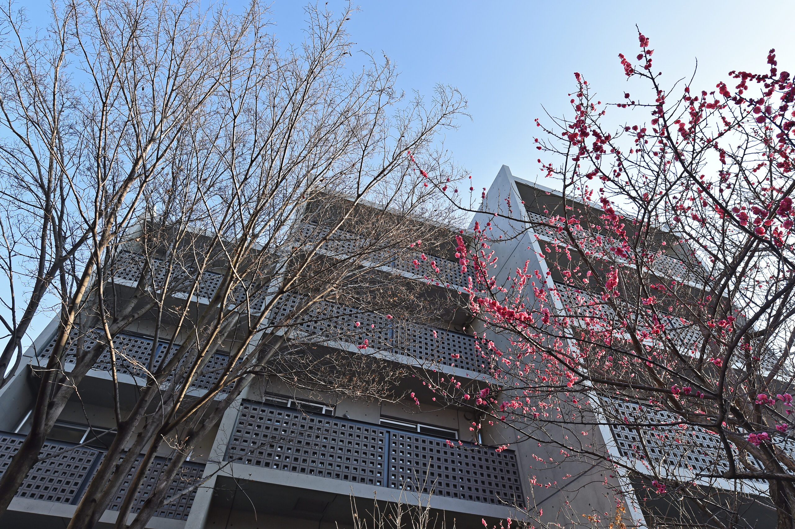 Calm tres - 渡邉久芳建築設計事務所 | 愛知・岐阜・三重・静岡